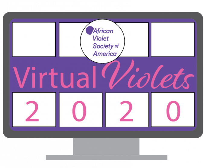 African Violet Society of America – Page 2 – Virtual Violet Event