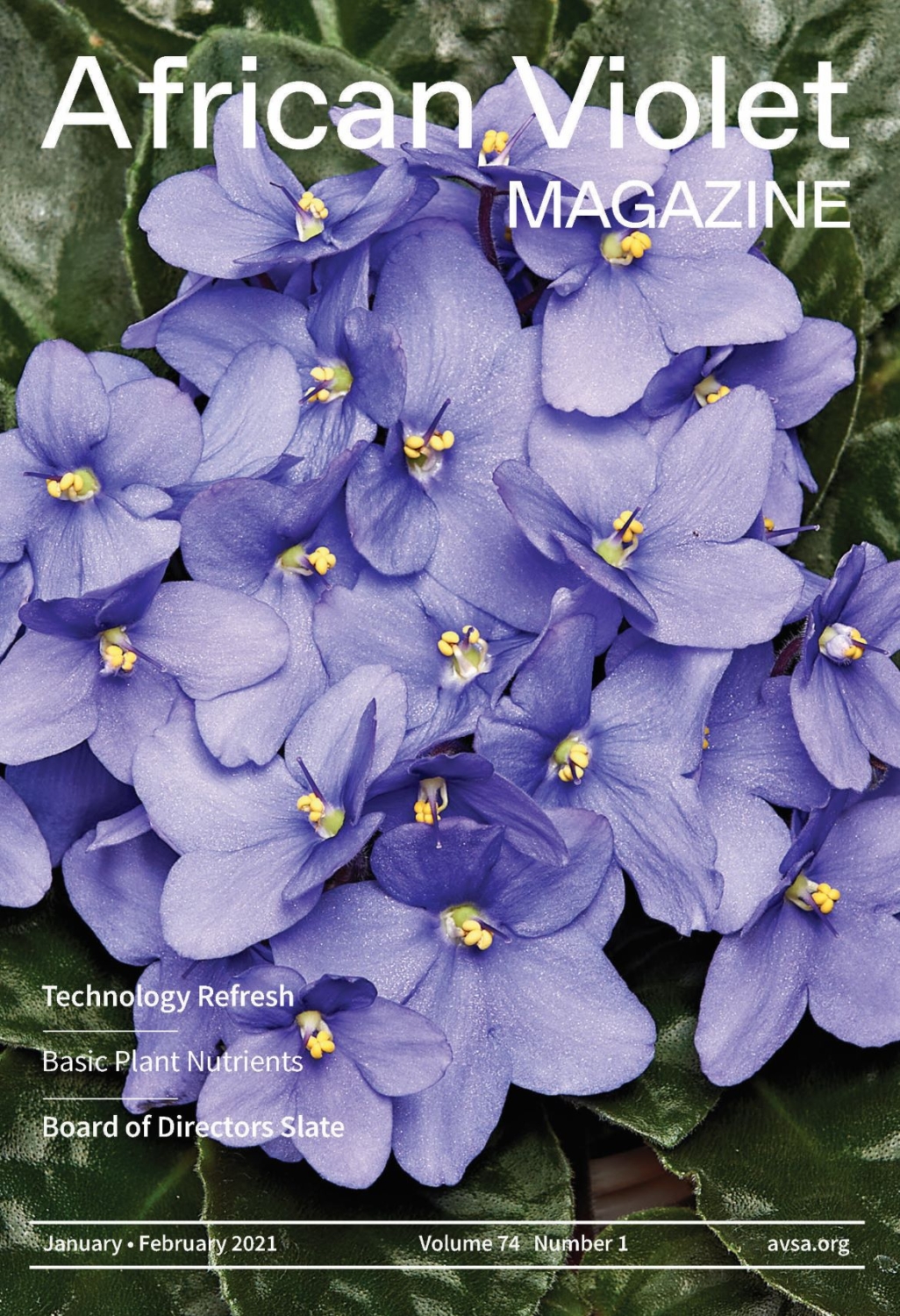Magazine – African Violet Society of America