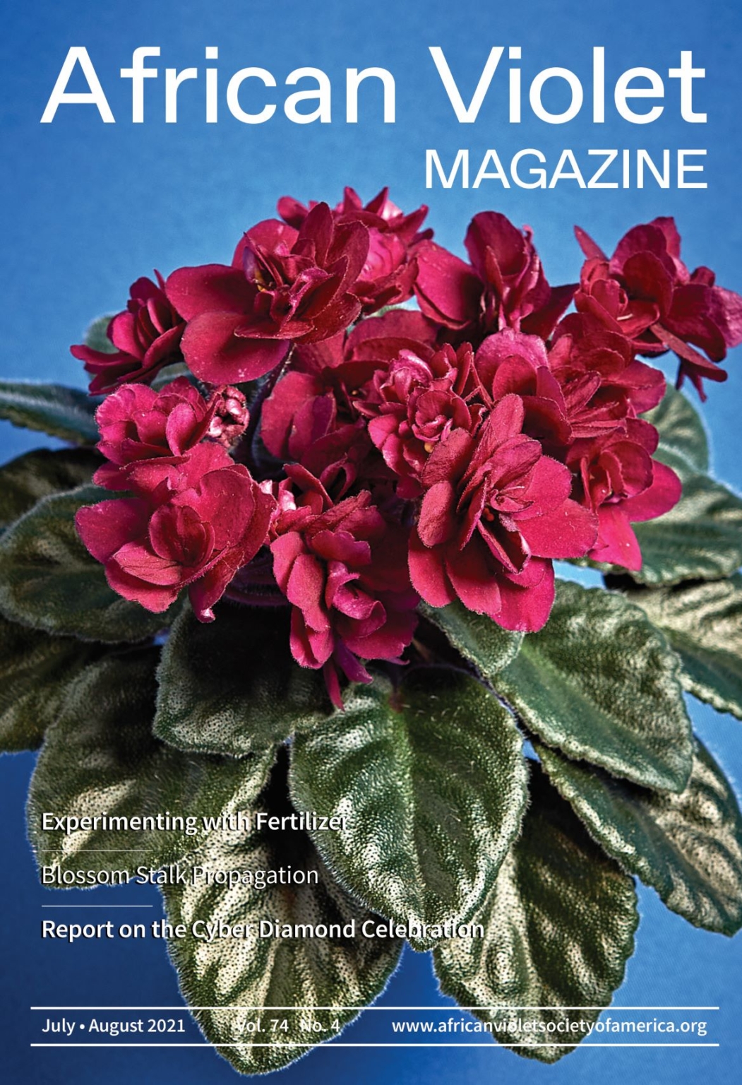 Magazine - African Violet Society of America