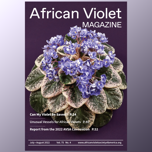 African Violet Magazine Single Issues - African Violet Society of America