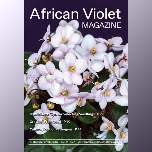 African Violet Magazine Single Issues - African Violet Society of America